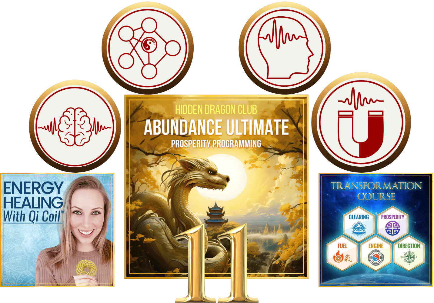 Abundance Ultimate Package — Qi Energy